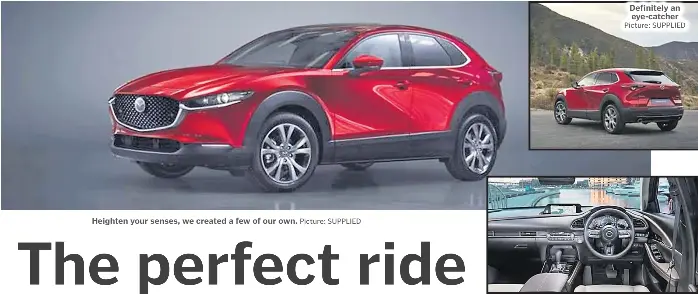 The perfect ride - PressReader