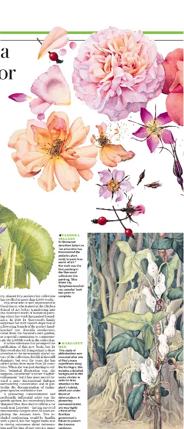 The exquisite art of a botanical eco-warrior - PressReader