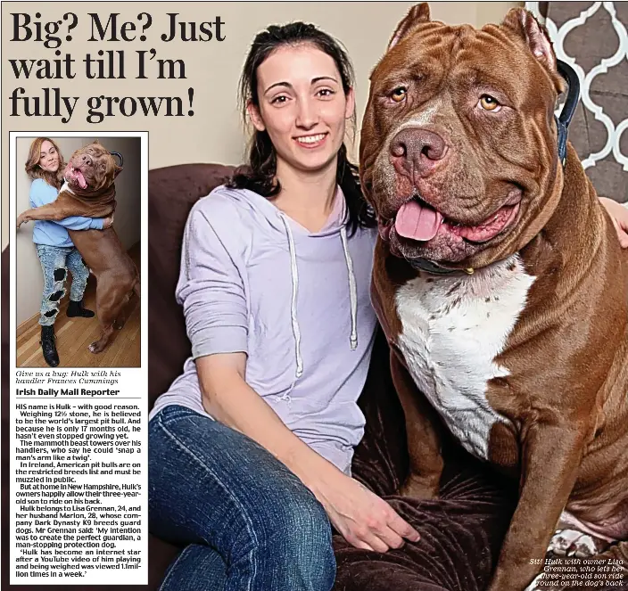 Big? Me? Just wait till I’m fully grown! - PressReader