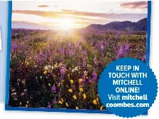 Ask Mitchell - PressReader