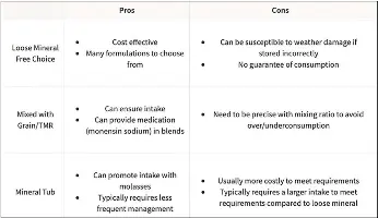 Considerat­ions for winter mineral supplement­ation - PressReader