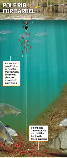 Your angling problems solved - PressReader