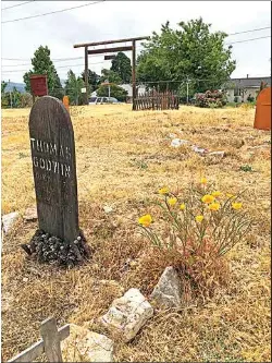 The murder of Constable Tom Godwin W - PressReader