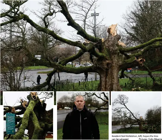 Pleas for famous ‘ landmark’ to be saved after storm ‘ shattered it ...