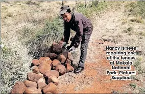 ‘Conservati­on hero’ making her mark - PressReader