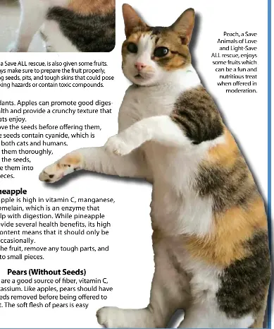 CAN CATS EAT FRUITS? - PressReader