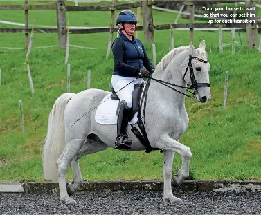 Lessons lea ned - PressReader