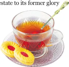 Moves to restore Mukumbani tea estate to its former glory - PressReader
