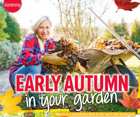 EARLY AUTUMN in your garden - PressReader