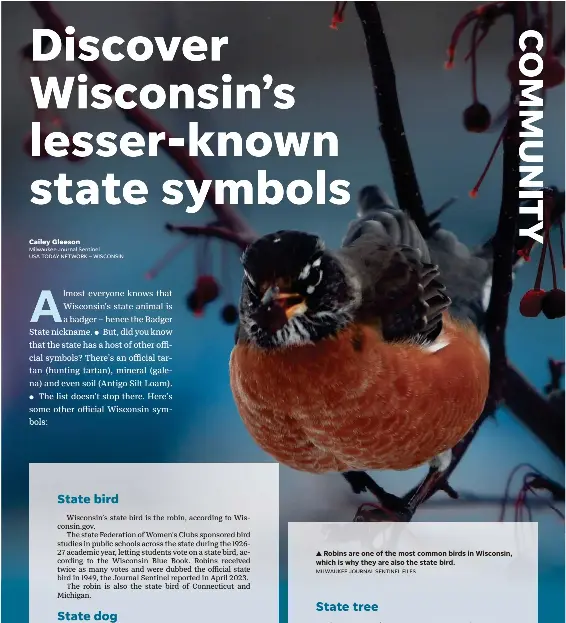 Discover Wisconsin’s lesser-known state symbols - PressReader