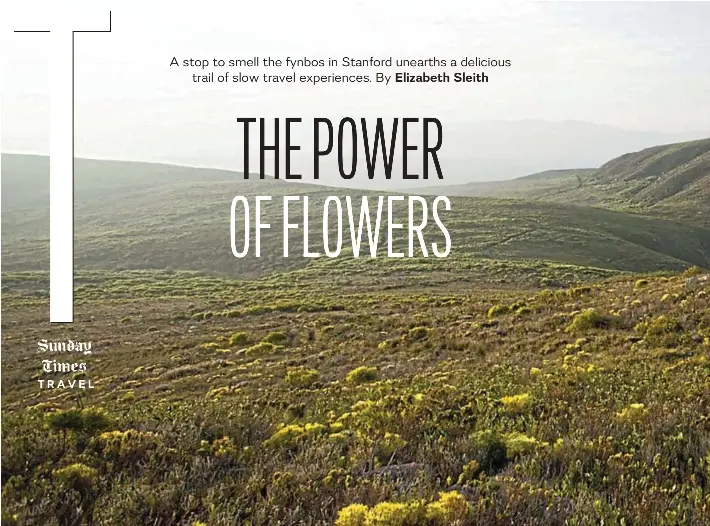 THE POWER OF FLOWERS - PressReader