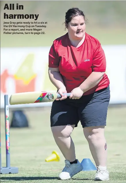 All in harmony - PressReader