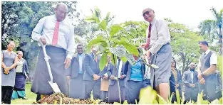 No trees after 12 years: - PressReader