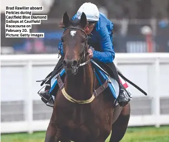 Trainer backs Pericles for strong Stakes tilt - PressReader
