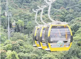 Reabre sus puertas bosque urbano en Guaynabo - PressReader