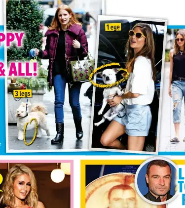 IT’S PUPPY LOVE… FLAWS & ALL! - PressReader