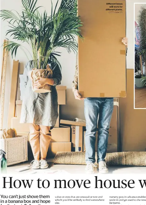 How to move house with plants - PressReader