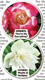 ASK DIARMUID - PressReader