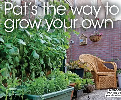 Pat’s the way to grow your own - PressReader