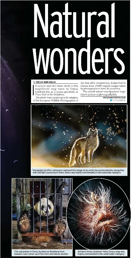 Natural wonders - PressReader