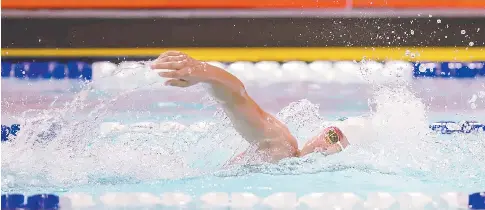 Natation: Max Gauvin, un Piranha sur les traces de Zachary Newman ...
