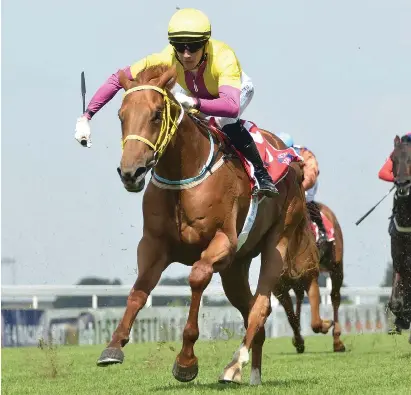 Weekend of top-class racing - PressReader