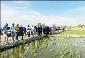 Kalimbeza requires adequate funding – Kompeli - PressReader