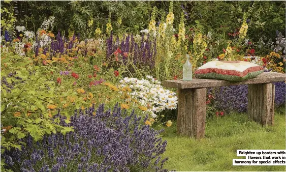 Clever colour combos - PressReader