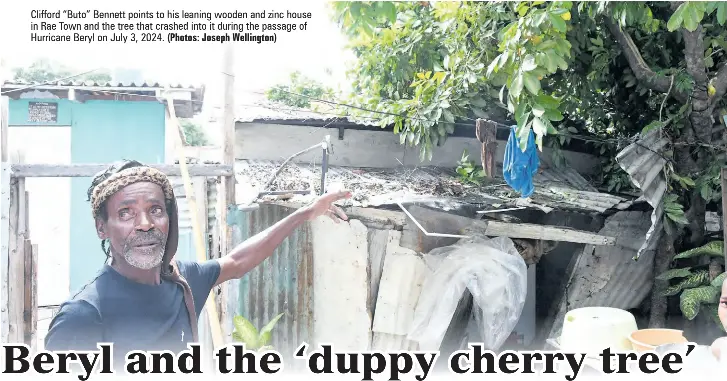 Beryl and the ‘duppy cherry tree’ - PressReader