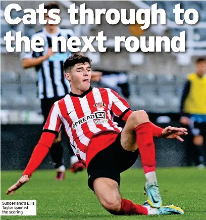 Cats through to the next round - PressReader