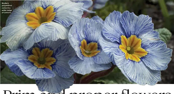 Prim and proper flowers - PressReader