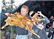 I wasn’t taking a bite out of a Korean dog – it was a Patagonian goat ...