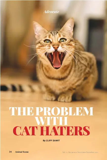The problem with Cat haters - PressReader