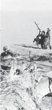 Sea Lion was a non- starter - PressReader