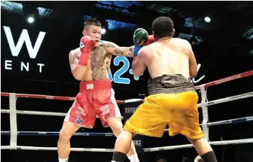 Vietnamese boxing champions secure knock out wins in pro return ...