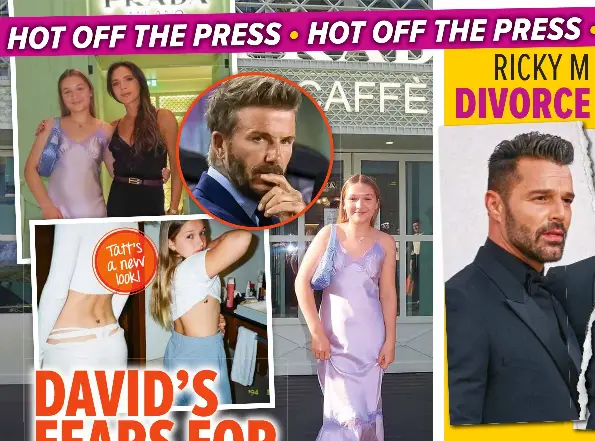 DAVID’S FEARS FOR HARPER - PressReader