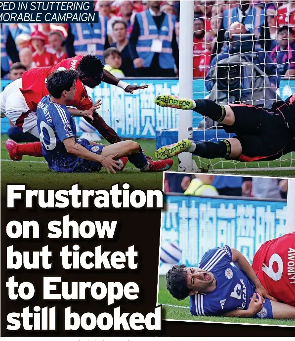 Frustratio­n on show but ticket to Europe still booked - PressReader