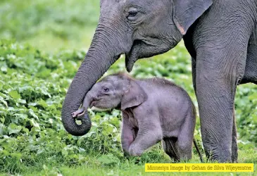 WORKING TOGETHER TO TRY AND SAVE ‘THE GATHERING’ - PressReader