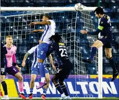 Shaughness­y’s last-gasp heroics rescue point for never-say-die Dark ...