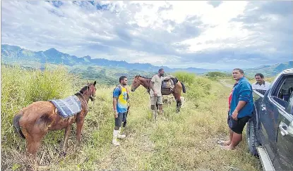 Finding the right path - PressReader