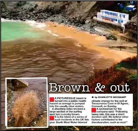 Brown & out - PressReader