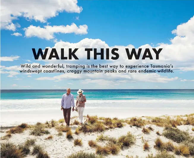 WALK THIS WAY - PressReader