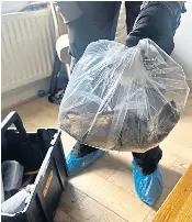 Giant rat as big as a dog caught in home - PressReader