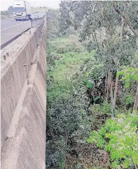 Missing dad shot, thrown over bridge - PressReader