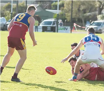 Season defining win as Dusties brutalise Bulldogs - PressReader