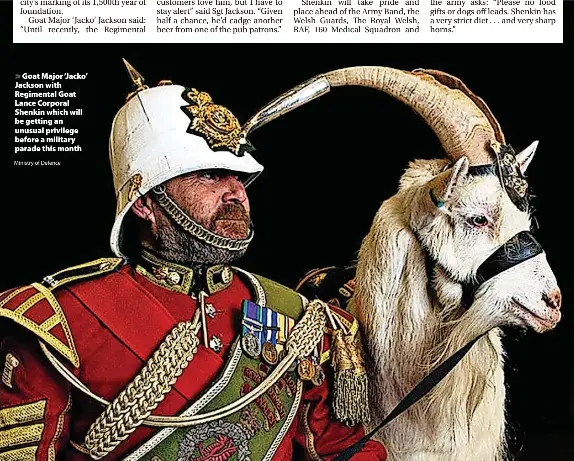 The soldier that drinks on duty... but never feels gruff the next day ...