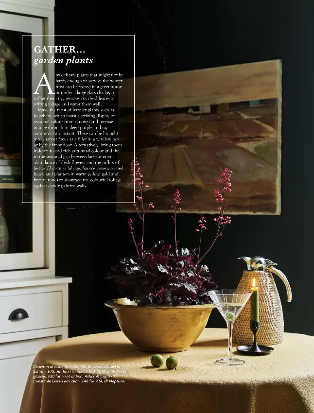 GATHER… garden plants - PressReader