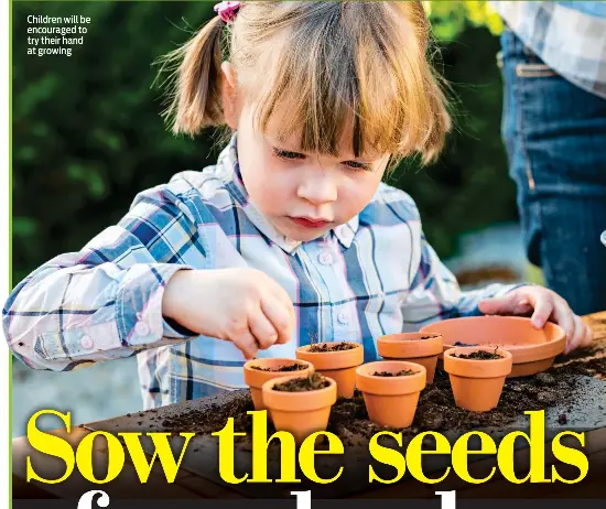 This year’s Bloom will feature immersive seed-sowing workshops for children who can learn how to ...