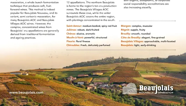 The Diverse and Distinctiv­e Wines of Beaujolais - PressReader