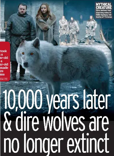 10,000 years later & dire wolves are no longer extinct - PressReader